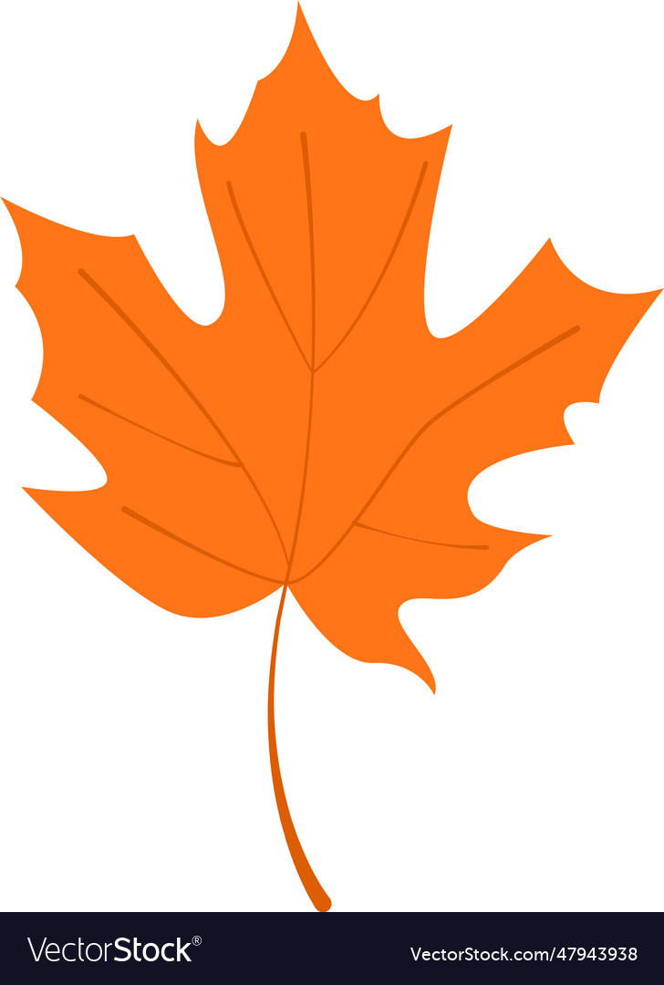 Maple tree leaf Royalty Free Vector Image - VectorStock
