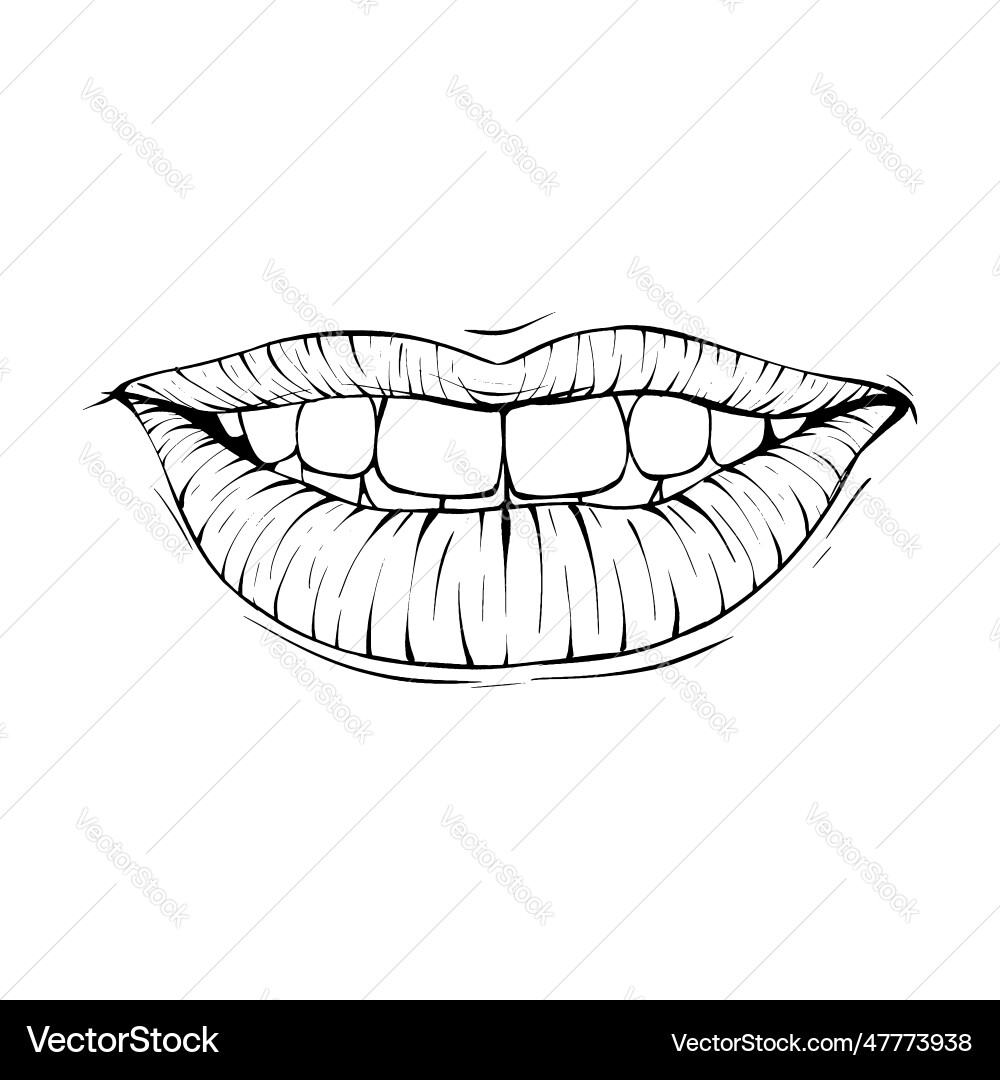 Mouth lips sketch line art Royalty Free Vector Image