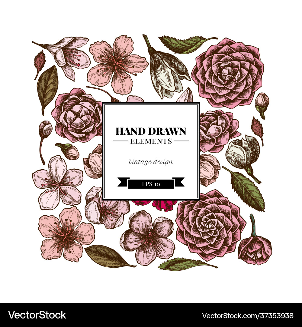 Square floral design with colored hibiscus plum Vector Image