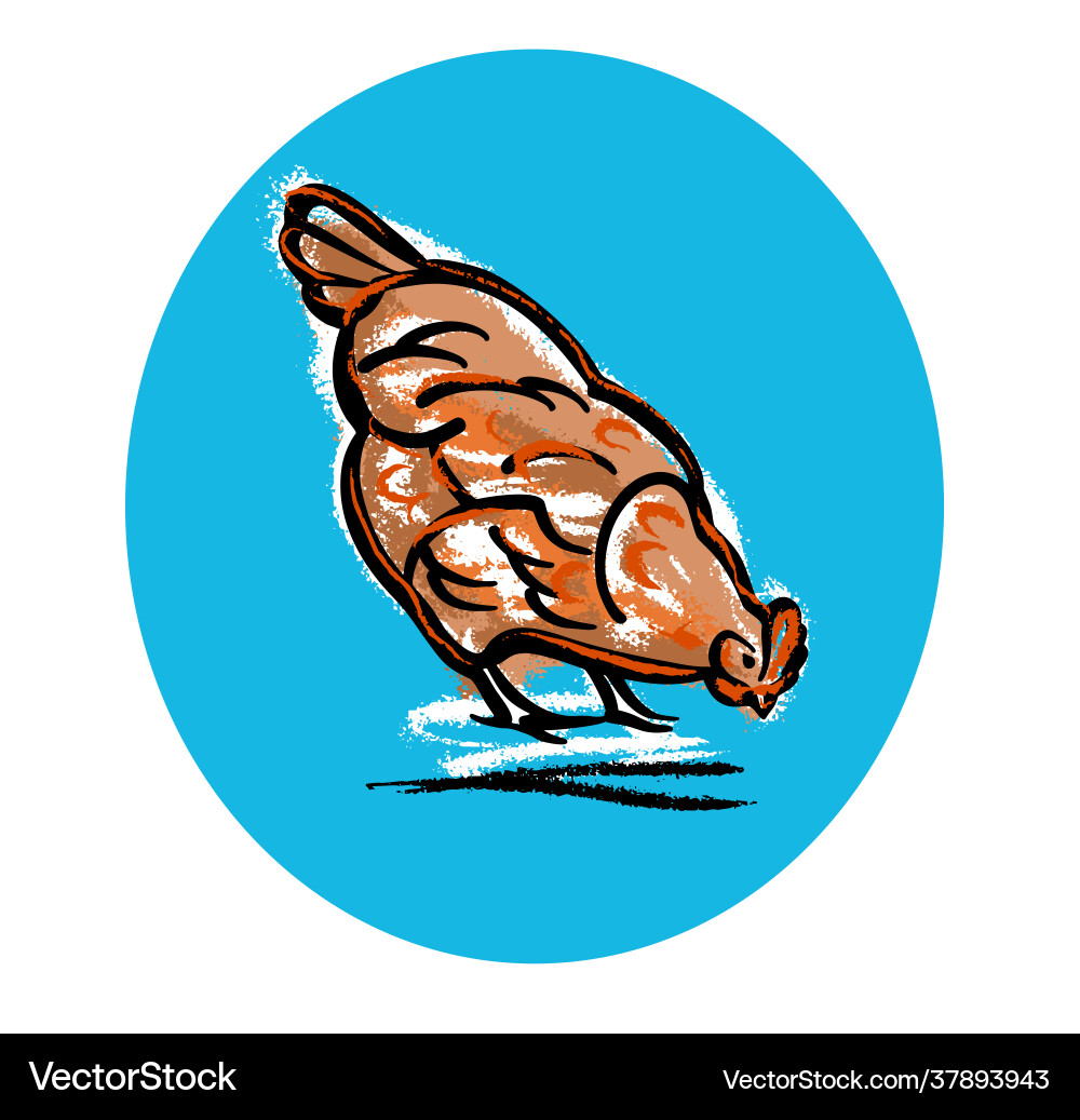 A young red hen pecks at grain color Royalty Free Vector