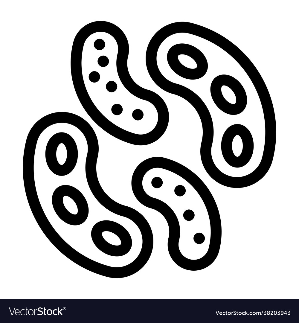 Bacillus bacteria Royalty Free Vector Image - VectorStock
