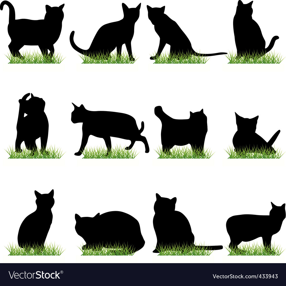 Cats Royalty Free Vector Image - VectorStock