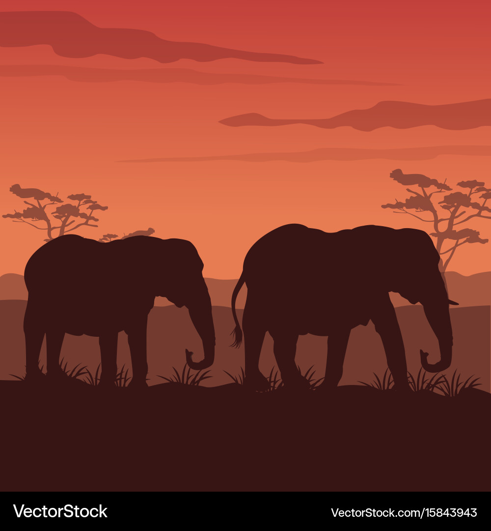 Color sunset scene african landscape Royalty Free Vector