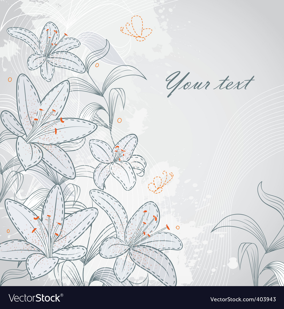 Lily background Royalty Free Vector Image - VectorStock