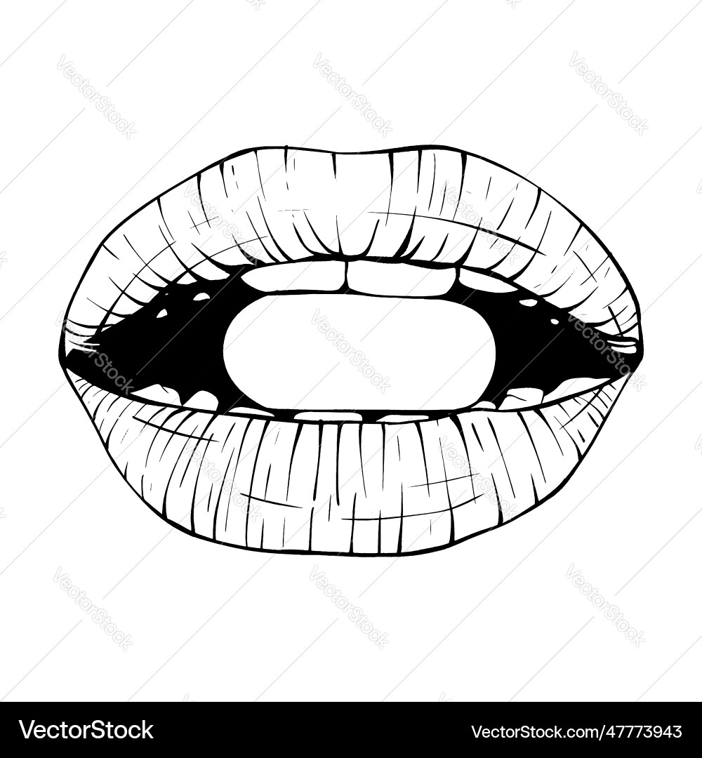 Mouth lips sketch line art Royalty Free Vector Image