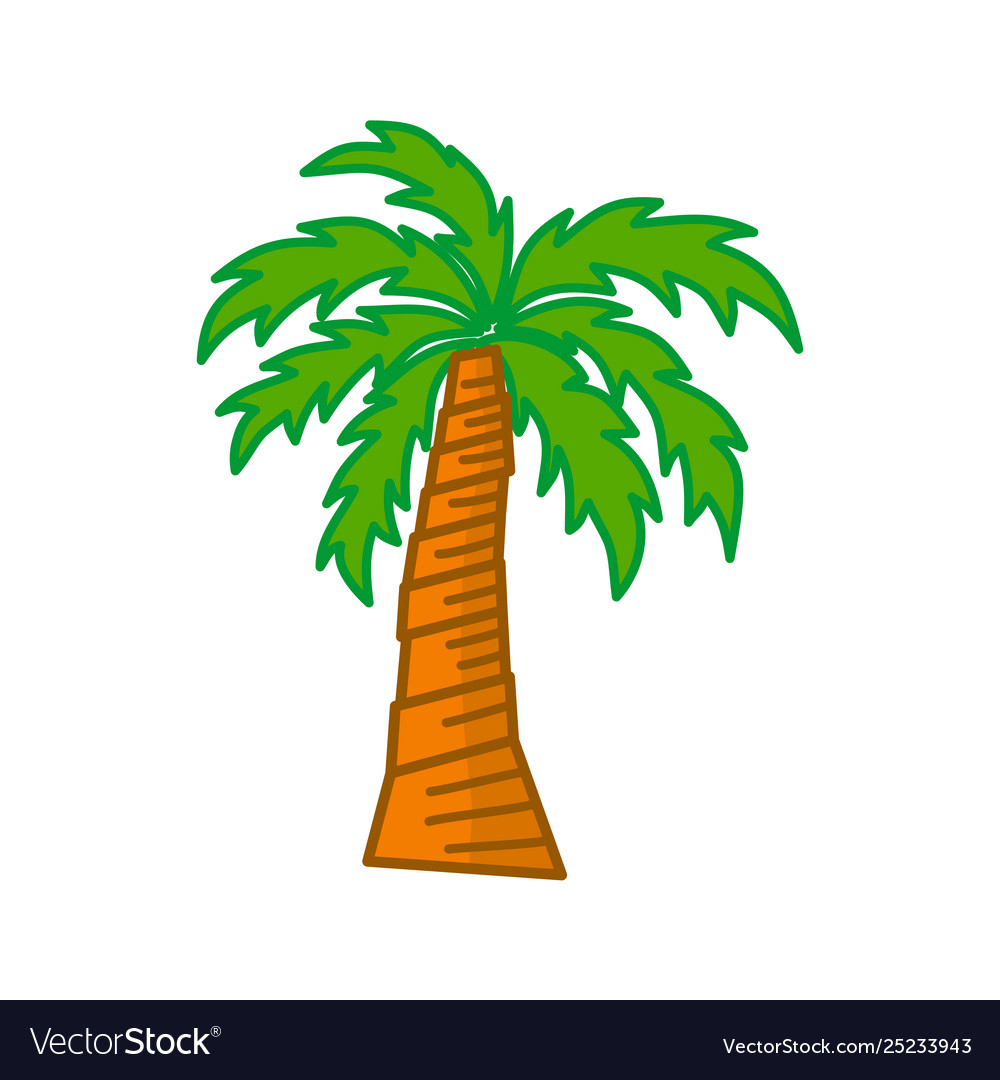 Palm trees isolated white background design Vector Image