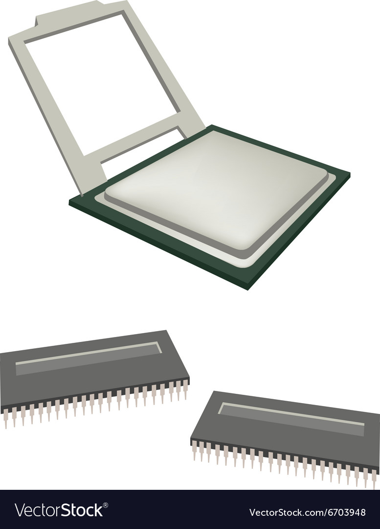 Central processing unit chips and pins Royalty Free Vector