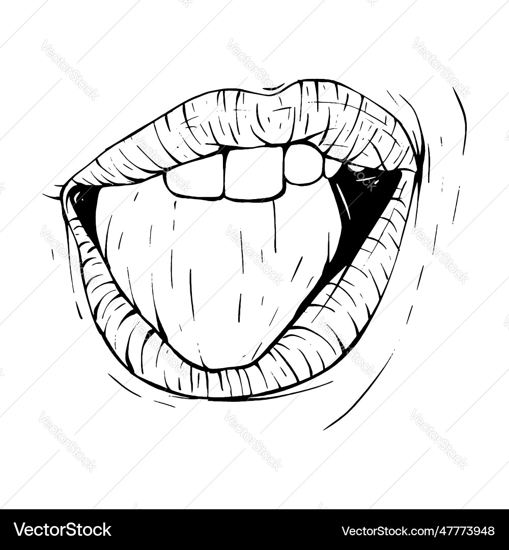 Mouth lips sketch line art Royalty Free Vector Image
