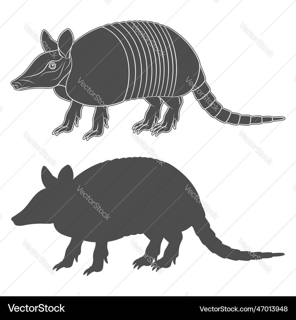 Set of black and white with armadillo Royalty Free Vector