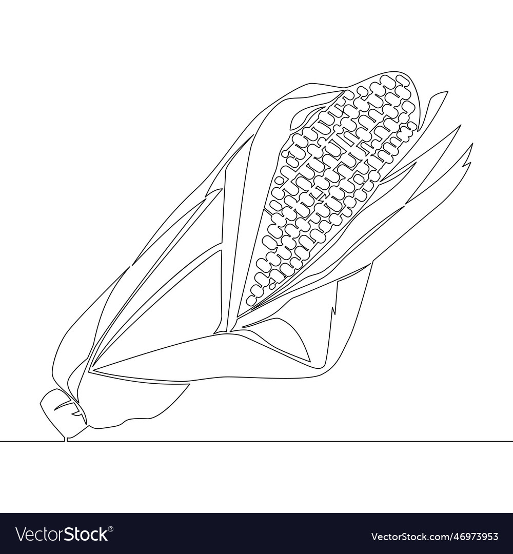 Continuous line drawing corncob vegetables corn Vector Image