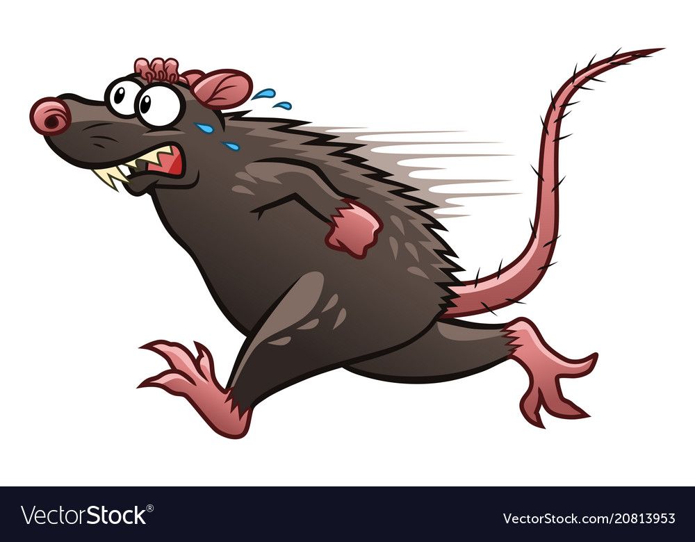 Escaping rat Royalty Free Vector Image - VectorStock