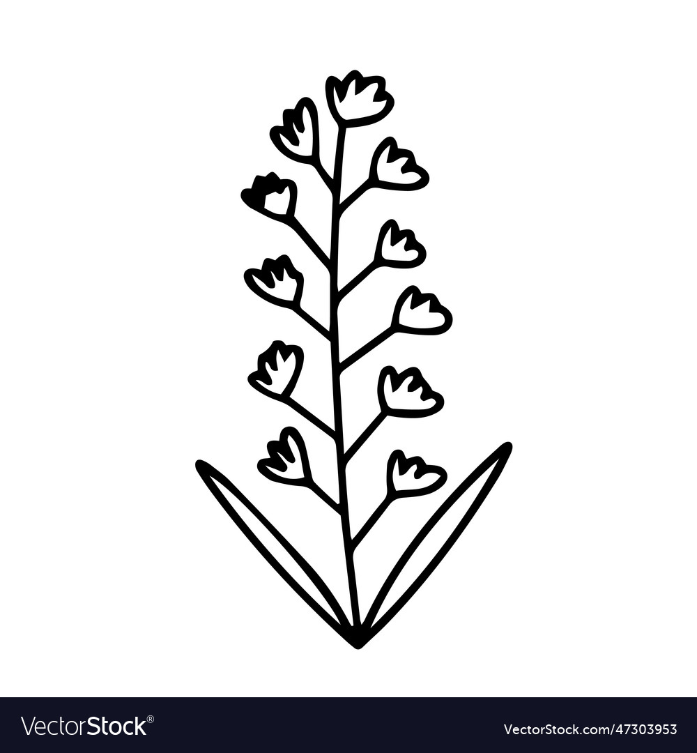 Hand drawn lily of the valley Royalty Free Vector Image