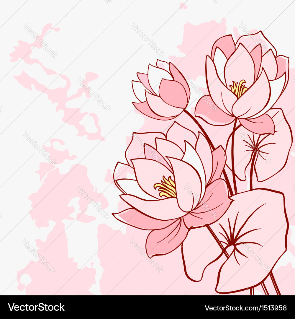 Abstract water lily flowers Royalty Free Vector Image