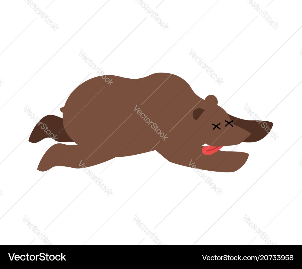 Dead bear wild animal deceased corpse grizzly Vector Image