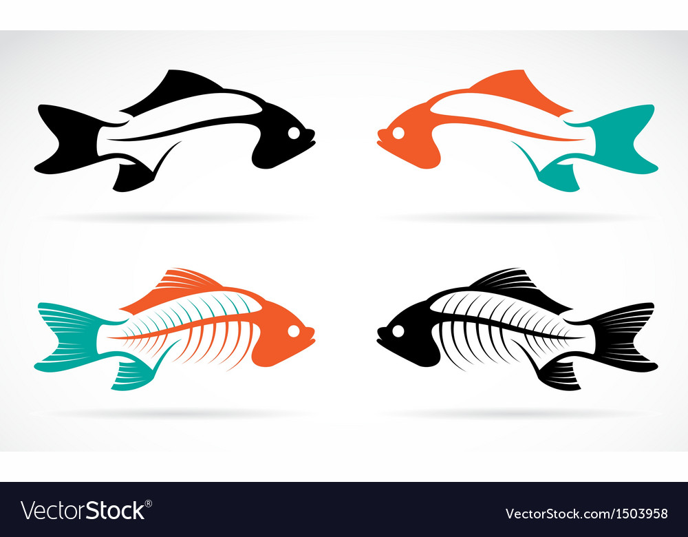 Fish Royalty Free Vector Image - VectorStock