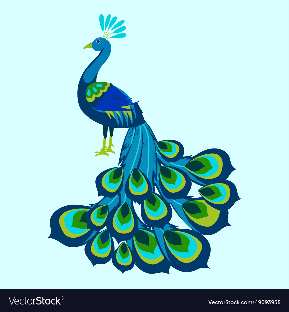 Peacock Royalty Free Vector Image - VectorStock