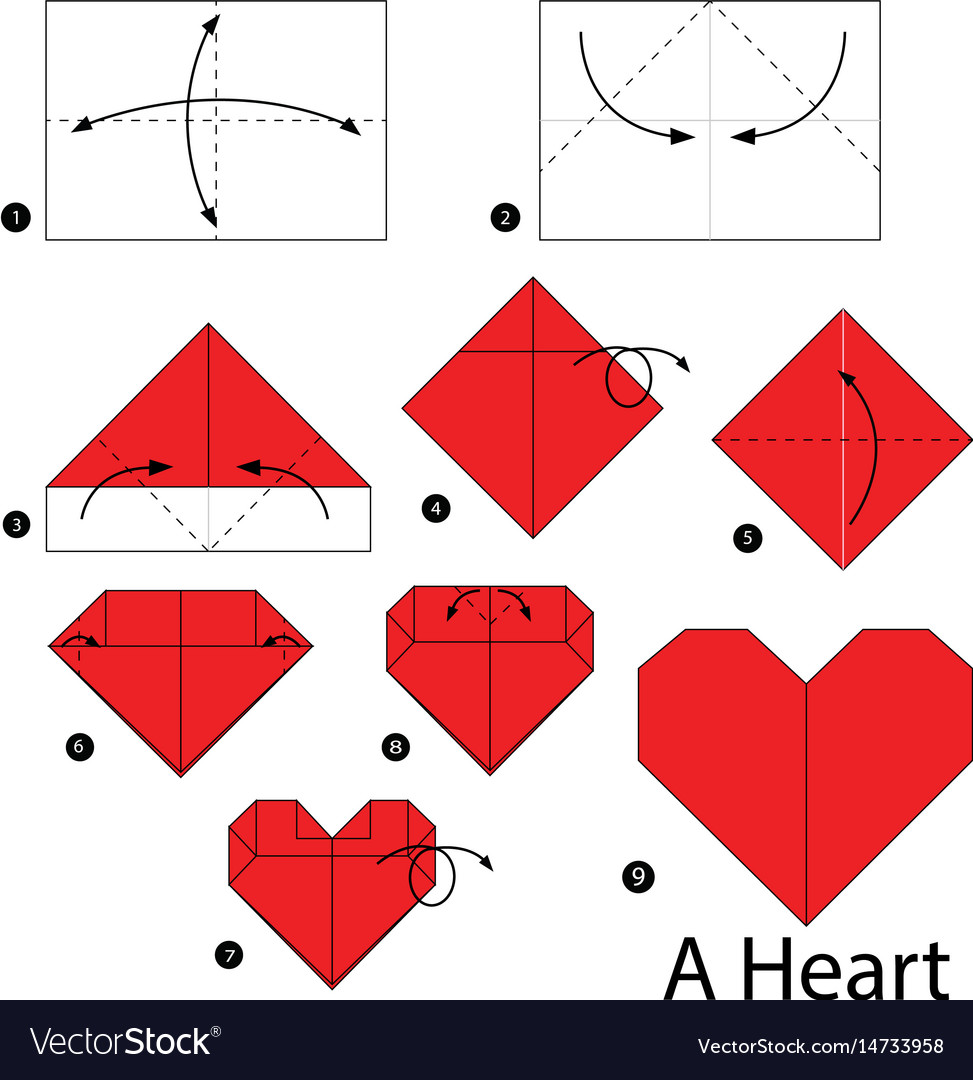 Step By Instructions How To Make Origami Vector Image