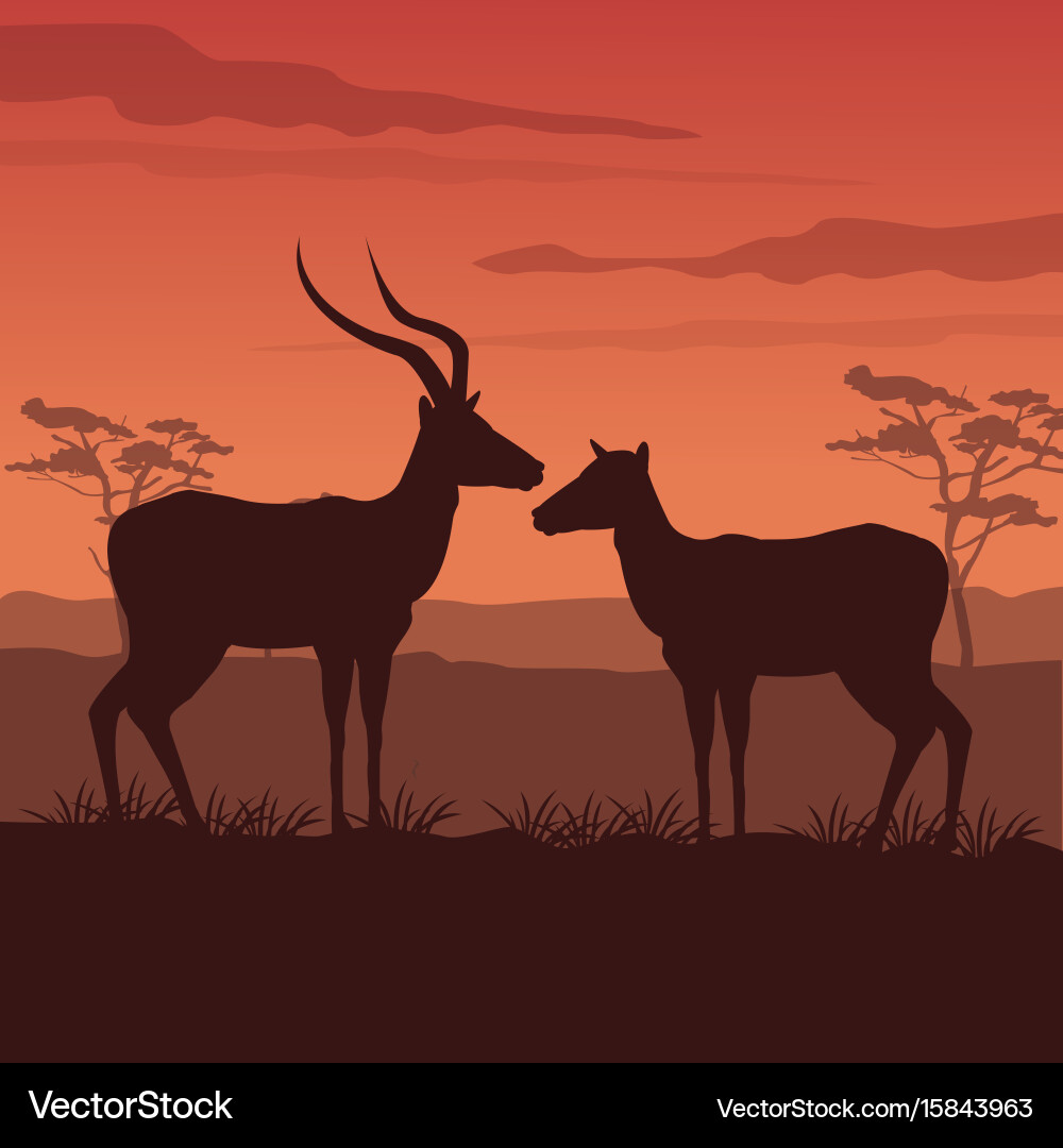 Color sunset scene african landscape Royalty Free Vector