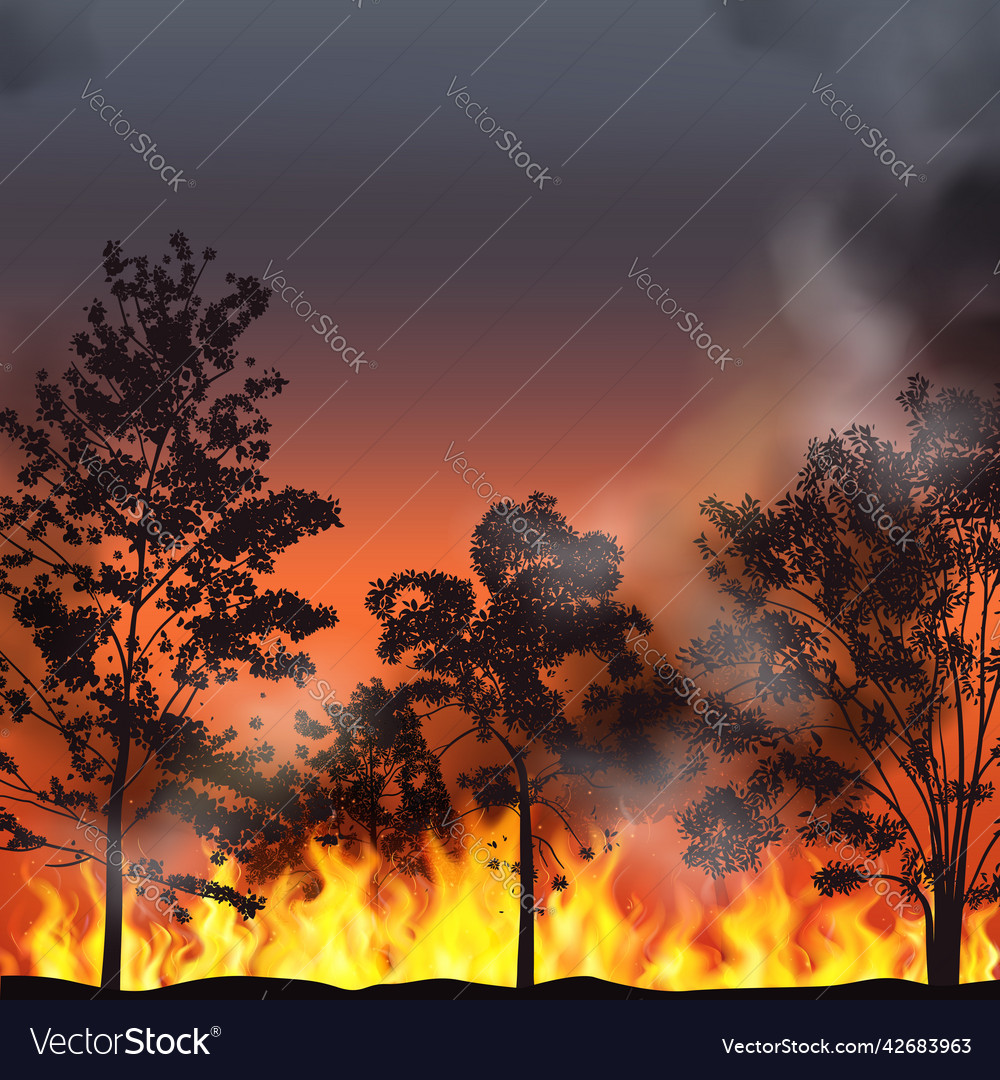 Forest fire background Royalty Free Vector Image
