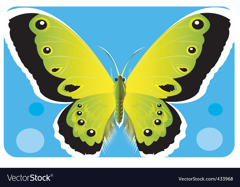 Butterfly Royalty Free Vector Image - VectorStock