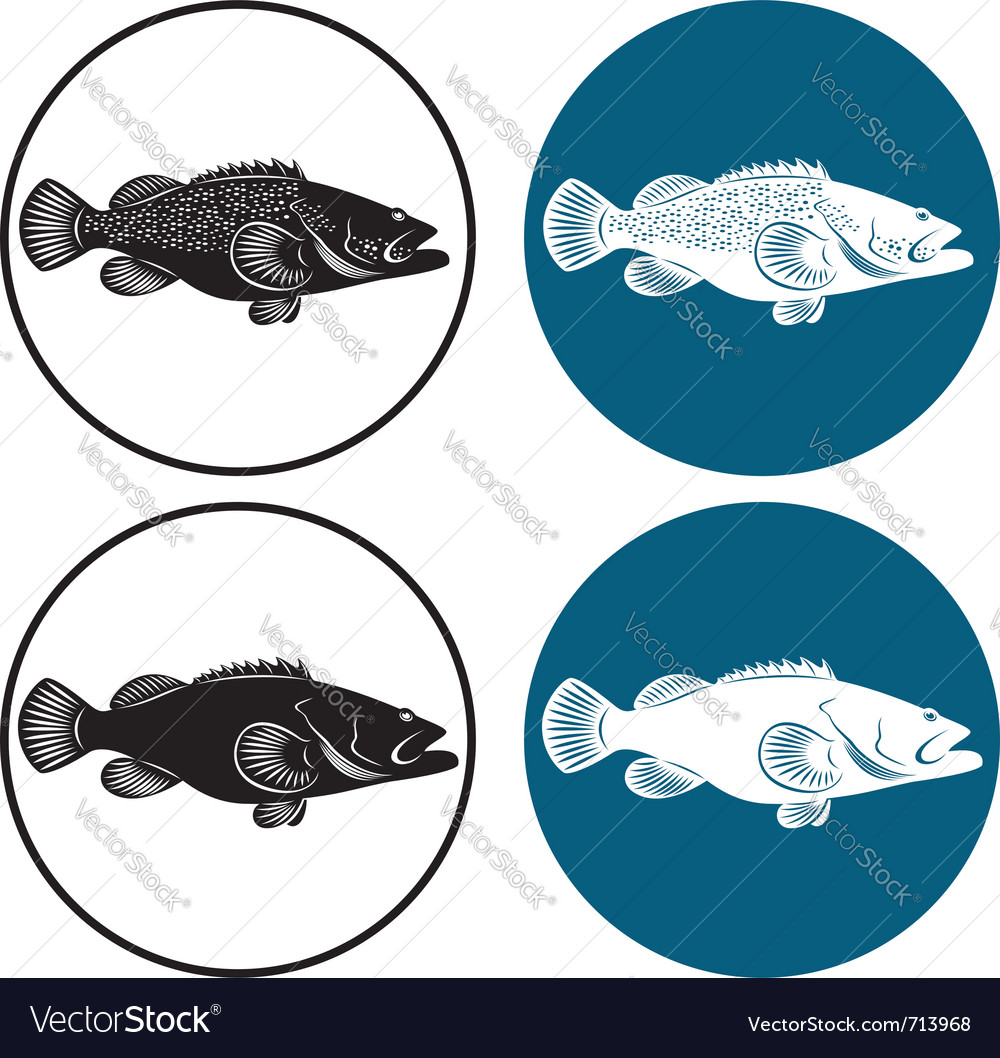 Grouper fish Royalty Free Vector Image - VectorStock