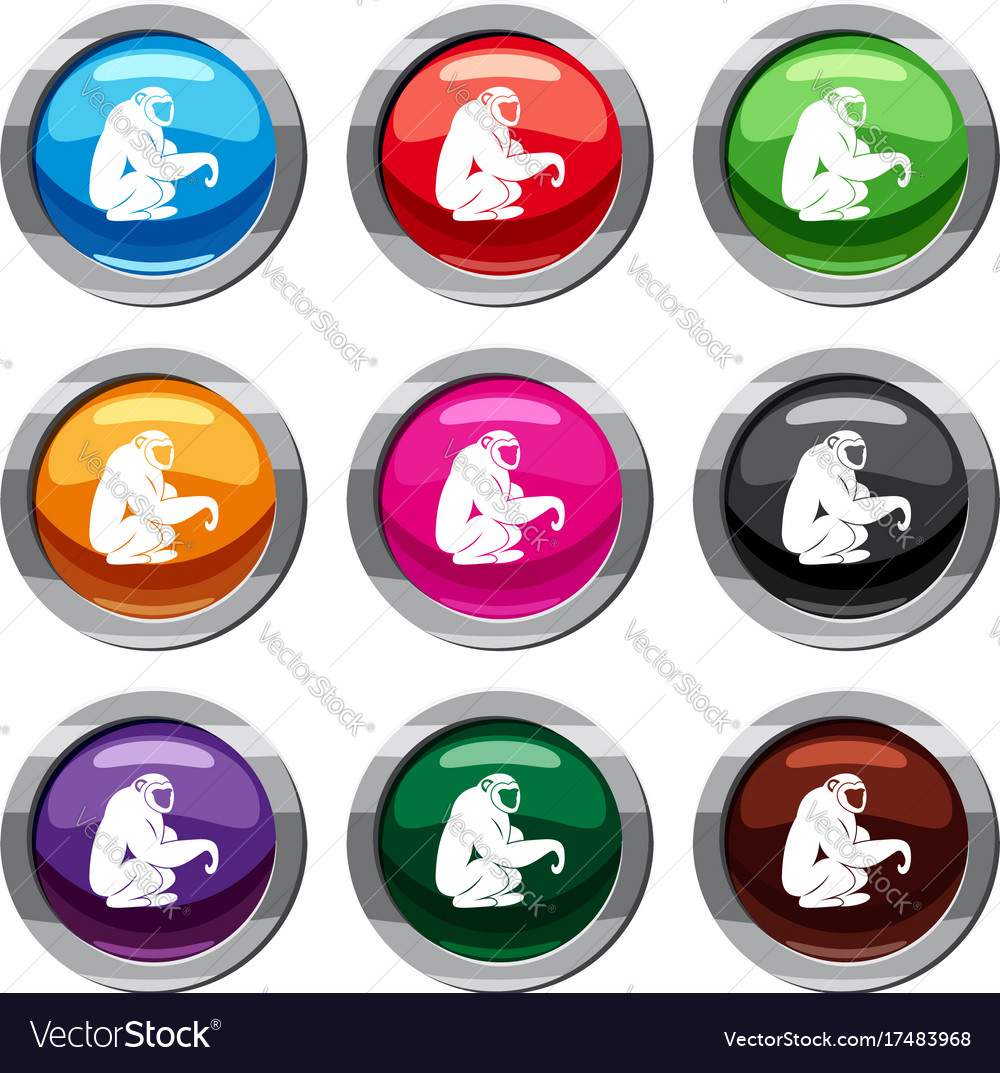Monkey sitting set 9 collection Royalty Free Vector Image
