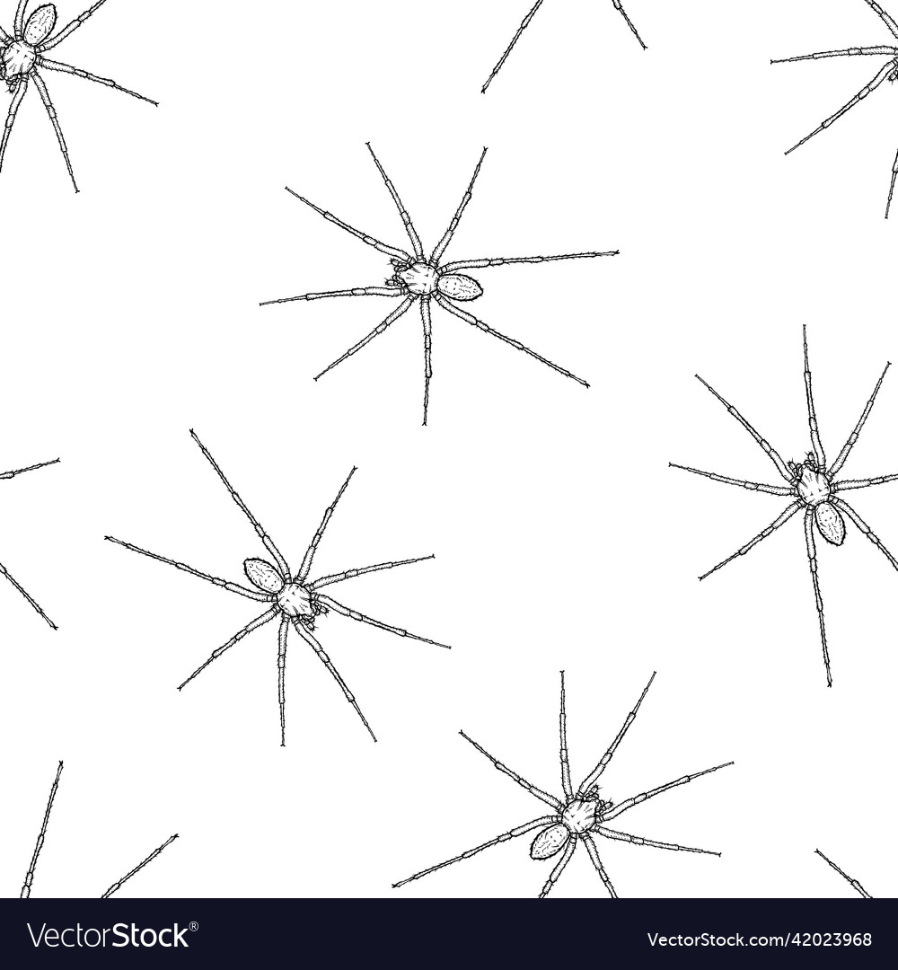 Seamless pattern of monochrome spiders Royalty Free Vector