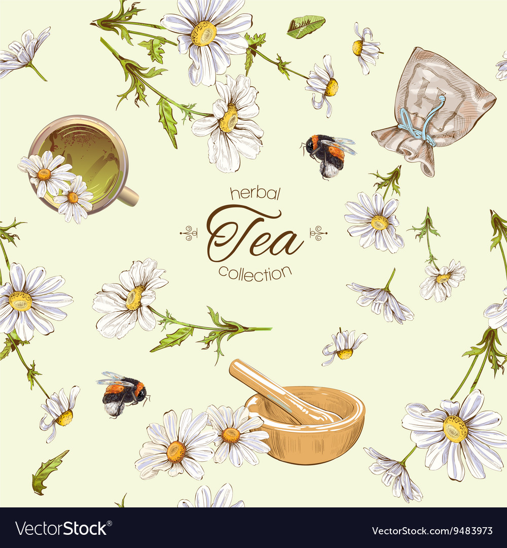 Chamomile tea seamless pattern Royalty Free Vector Image