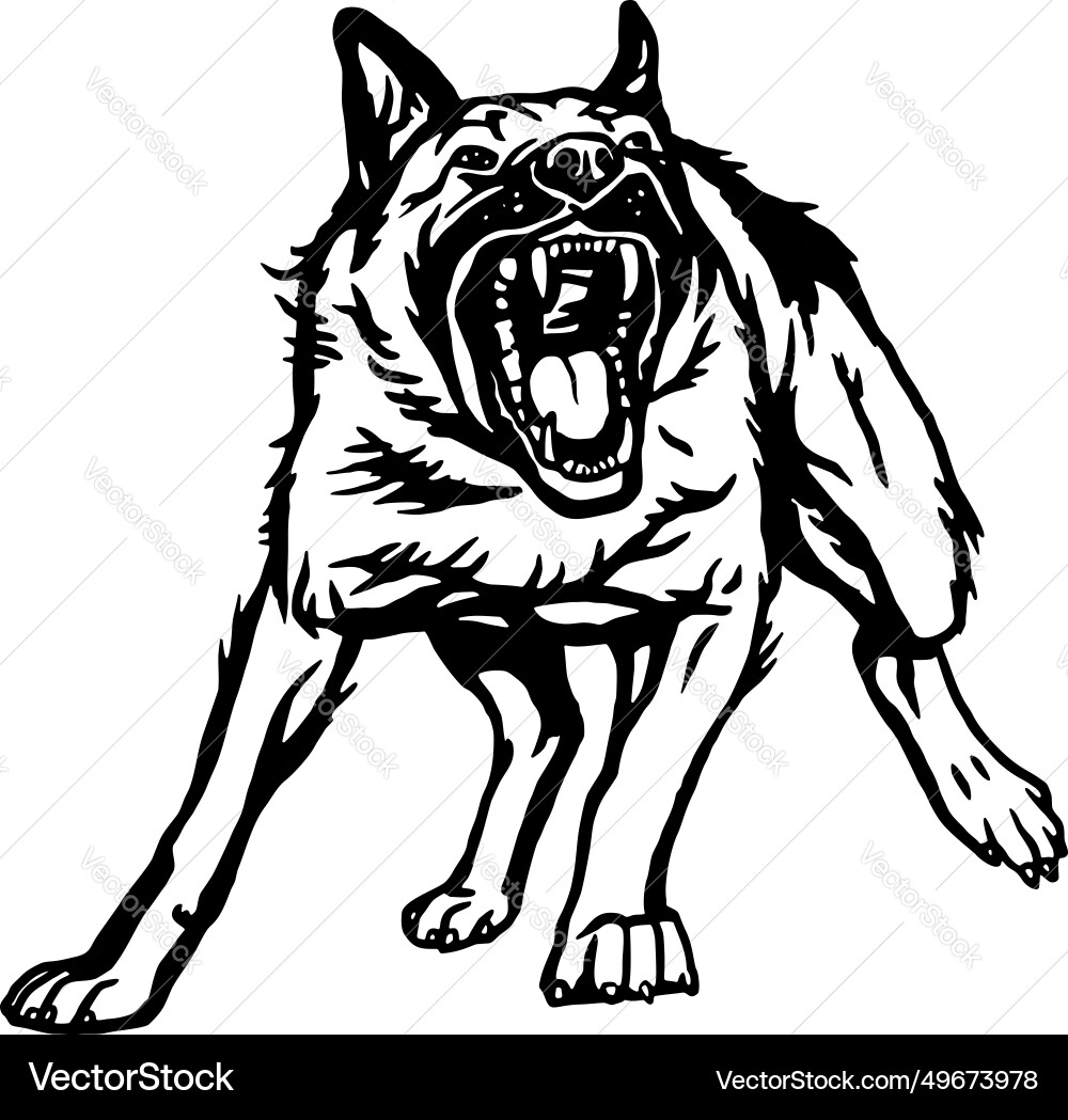Aggressive german shepherd - dog breed funny dog Vector Image