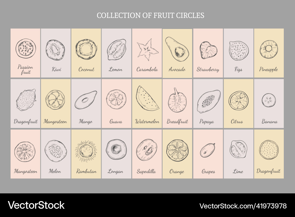 Hand drawn healthy fruits table concept Royalty Free Vector