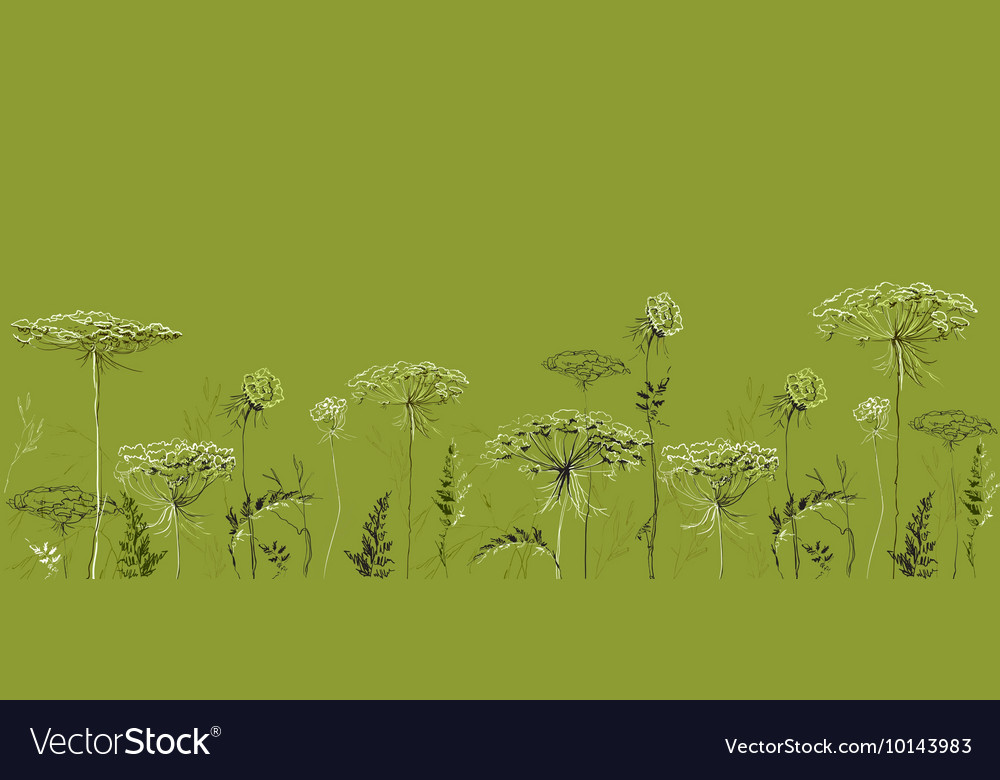 Herbal seamless border Royalty Free Vector Image