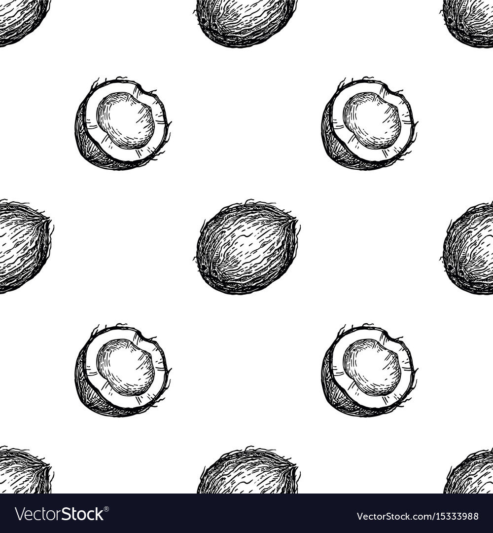 Coconut seamless pattern Royalty Free Vector Image
