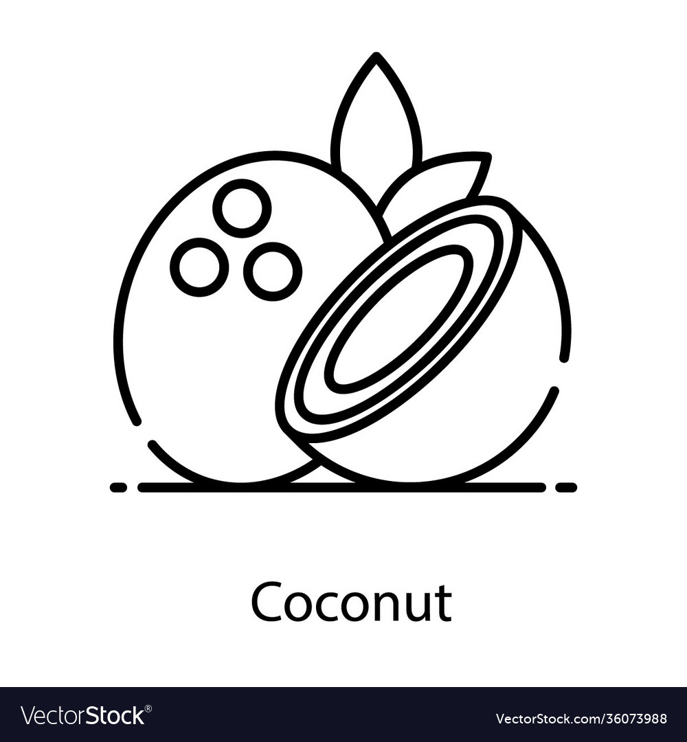 Coconut Royalty Free Vector Image - VectorStock
