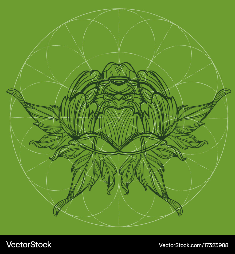 Elegant element of a stylized flower with smooth Vector Image