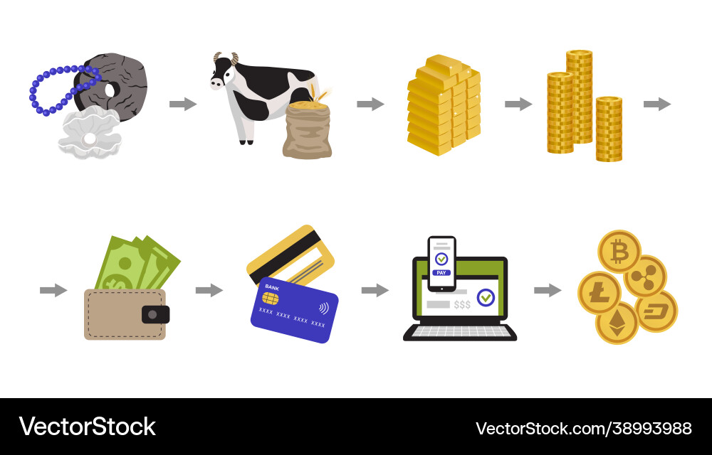 Evolution money progress concept Royalty Free Vector Image