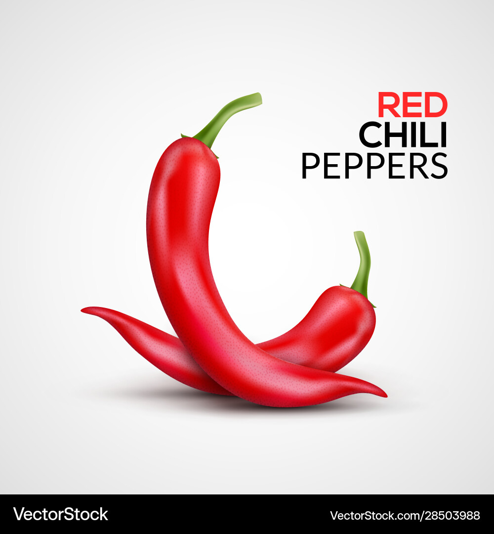 Fresh red hot chili pepper kitchen organic Vector Image
