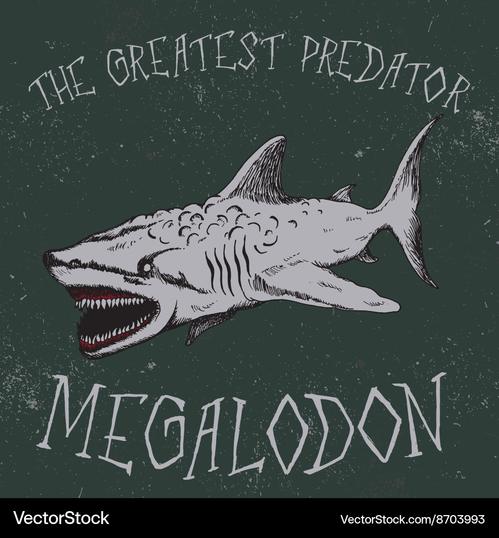 Vintage label with shark-Megalodon Royalty Free Vector Image
