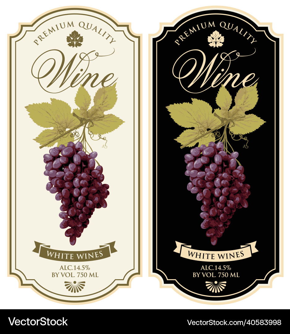Set of two wine labels with grape bunches Vector Image
