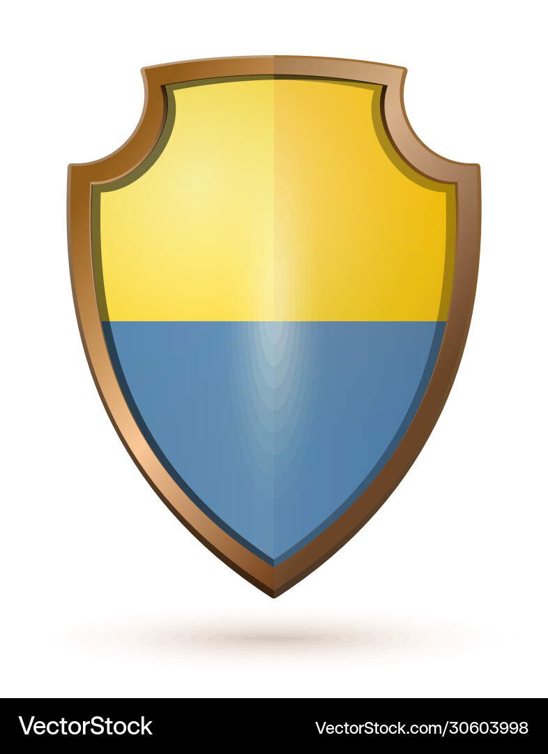 Shield painted in color flag ukraine Royalty Free Vector