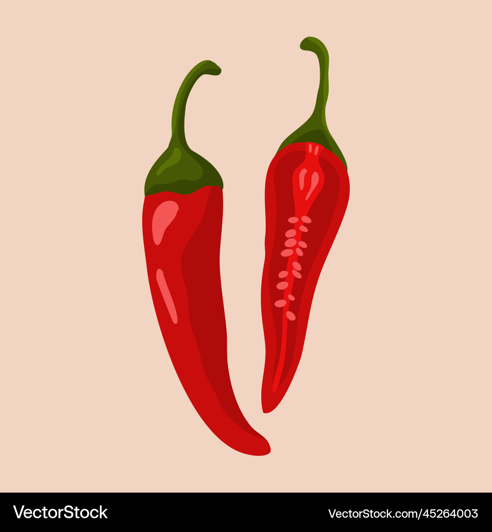 Chili vegetable ingredients and slices Royalty Free Vector