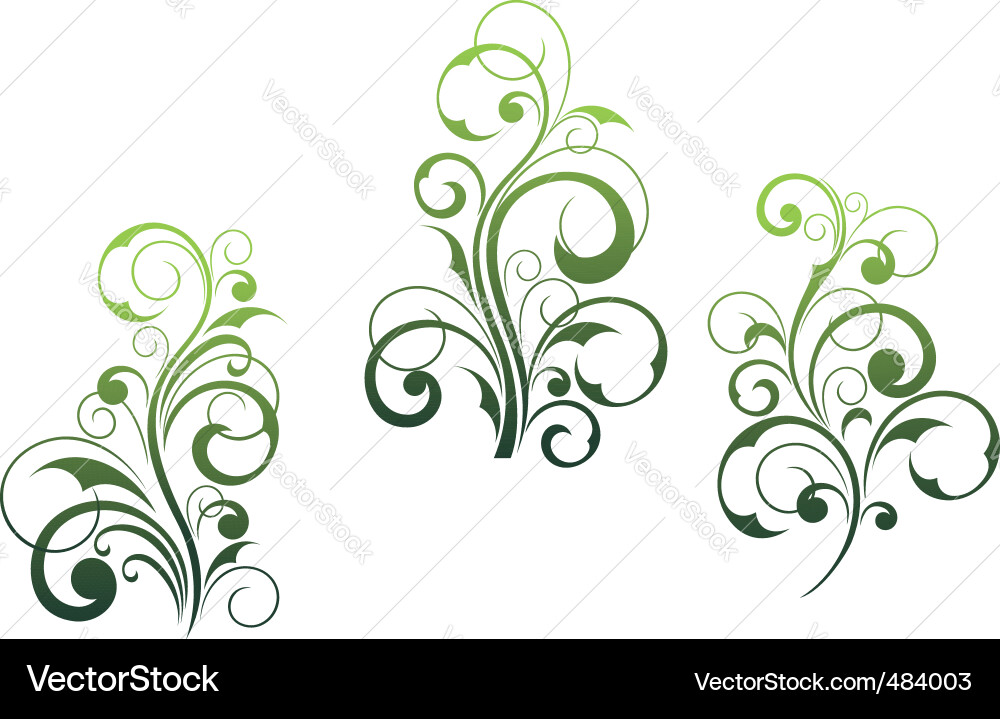 Floral elements Royalty Free Vector Image - VectorStock