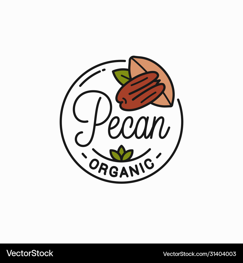 Pecan nut logo round linear pecan on white Vector Image