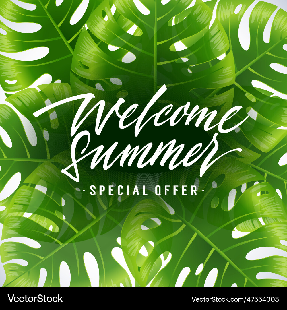Welcome summer special offer poster design Vector Image