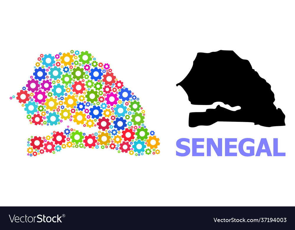 Workshop collage map senegal multi-colored Vector Image