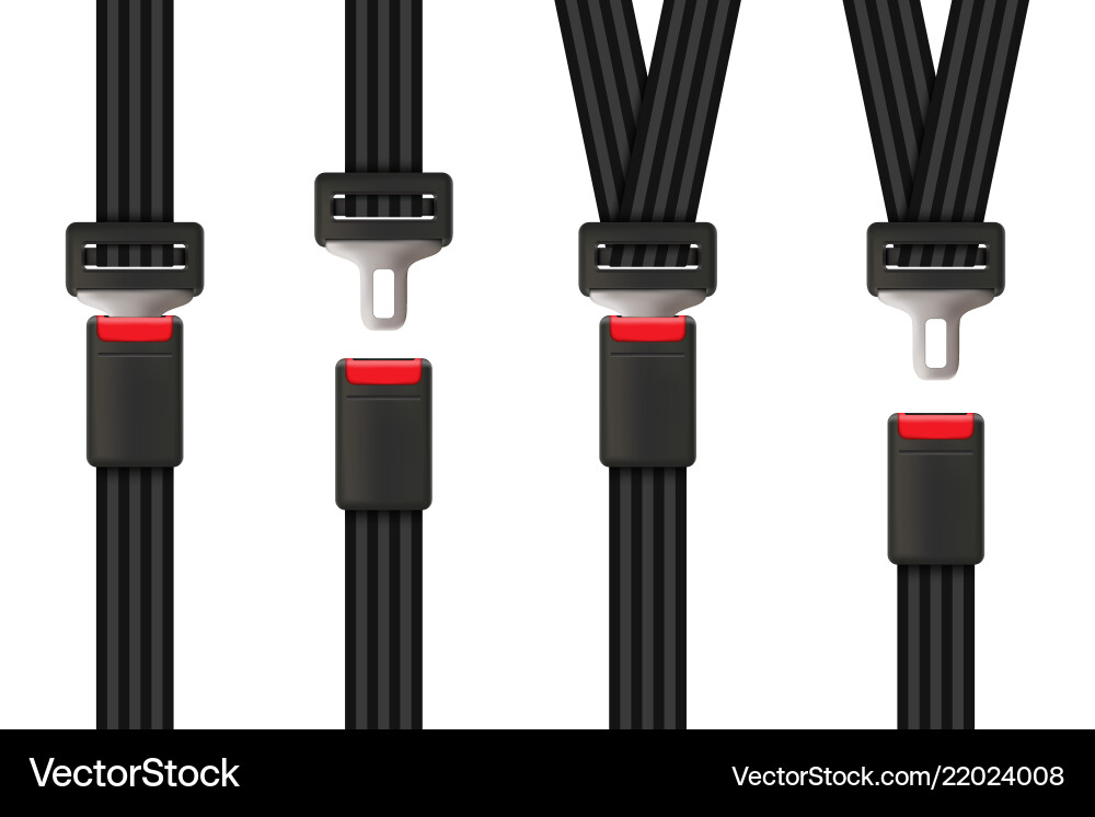 Creative of safety seat belt Royalty Free Vector Image