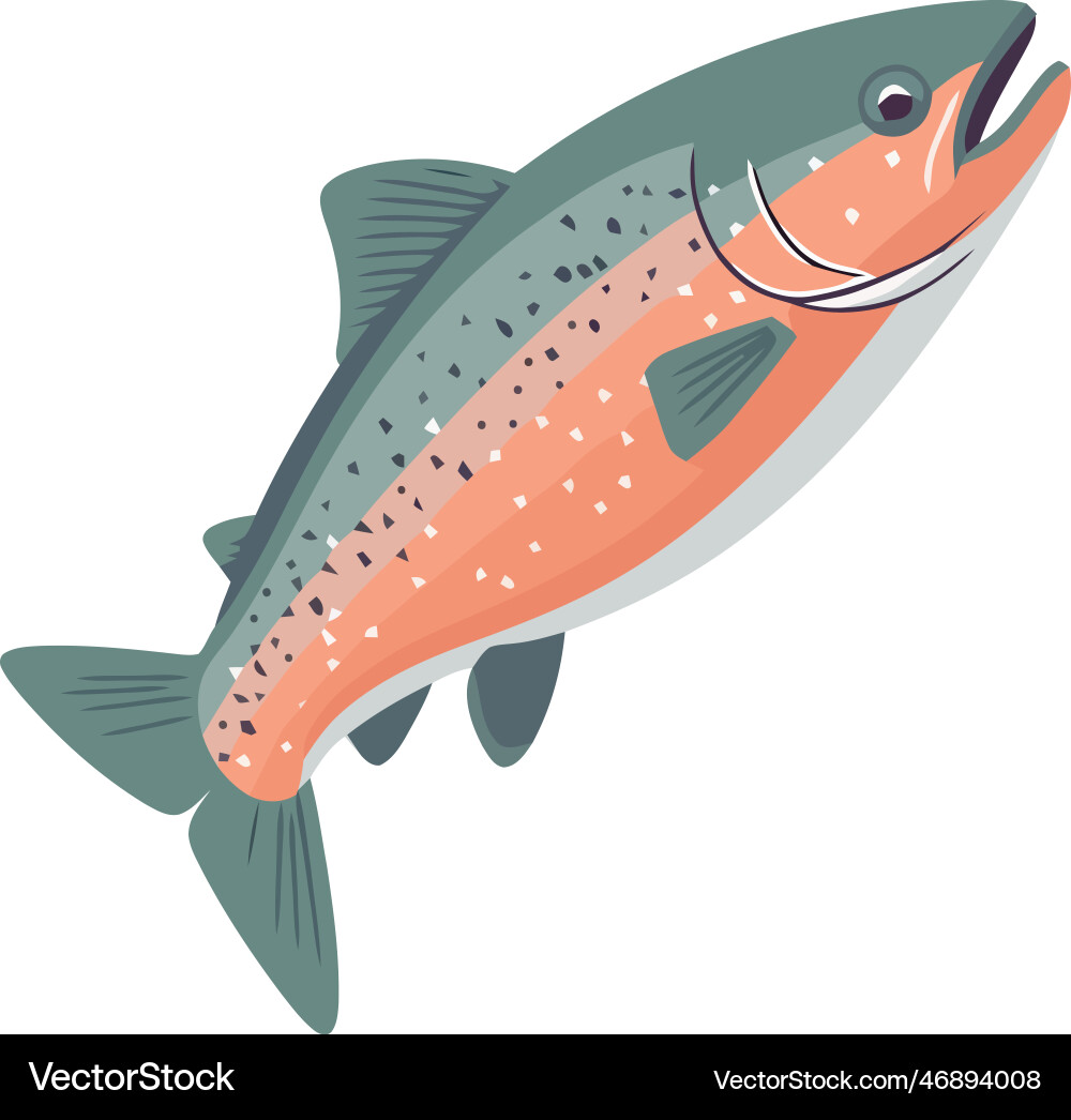 Fresh seafood meal trout lunch Royalty Free Vector Image