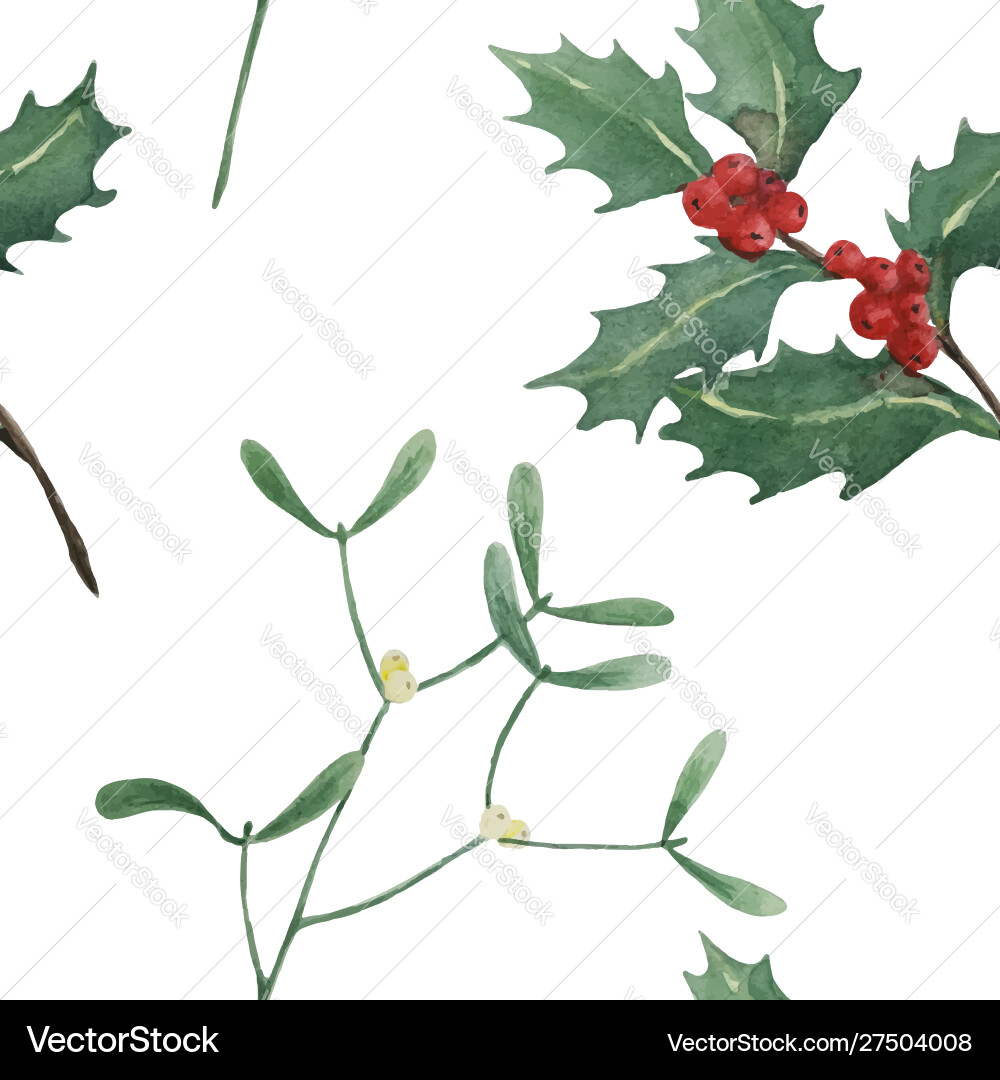 Holly and mistletoe watercolor seamless pattern Vector Image