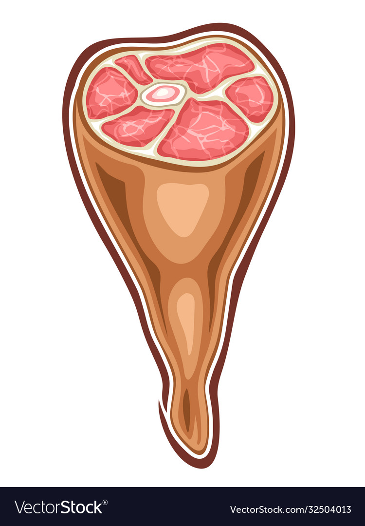 Ham leg Royalty Free Vector Image - VectorStock