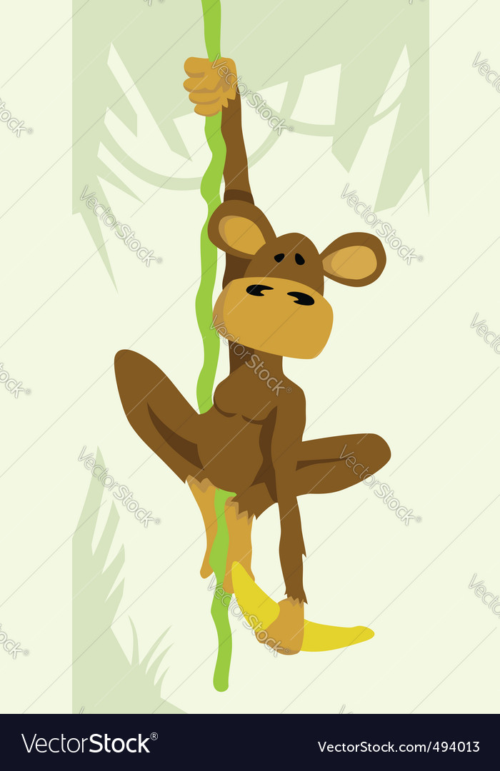 Monkey on vine Royalty Free Vector Image - VectorStock