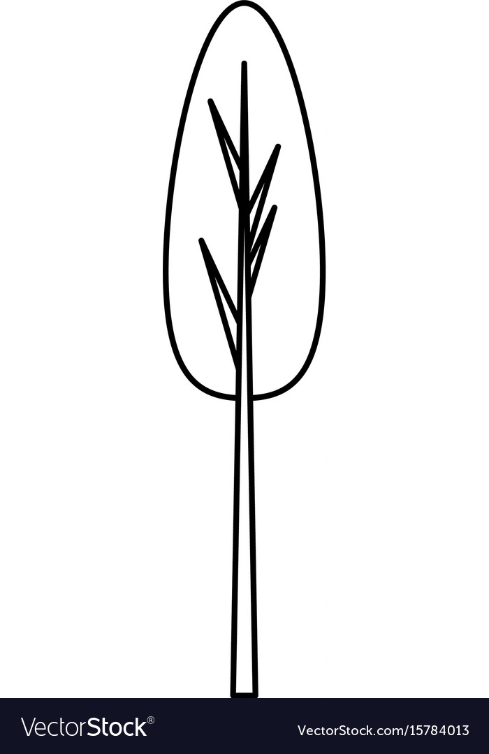 Tree isolated symbol Royalty Free Vector Image